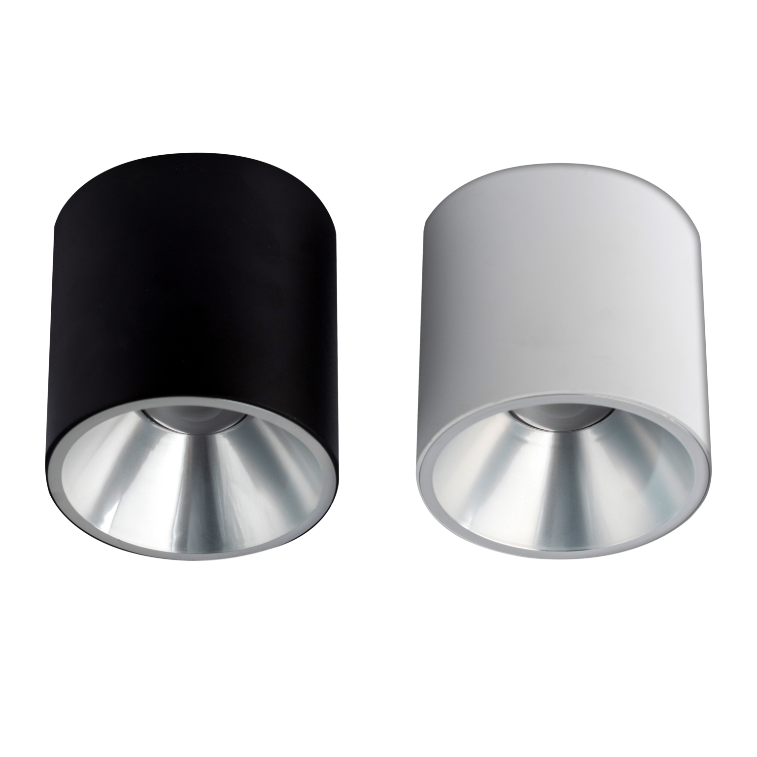 FL-DL40S Series Surface LED Downlight: IP54/IP65 High-Performance Spot ...