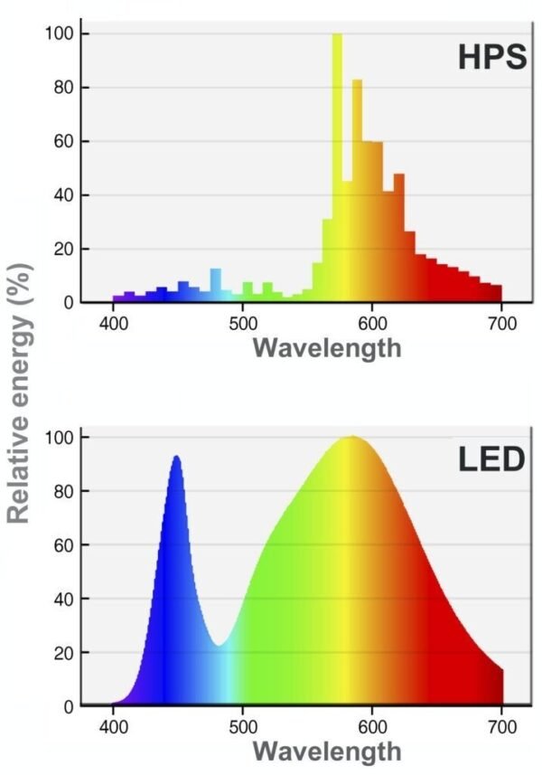 Perfect LED Lighting Energy Demand Outdoor systems 2025